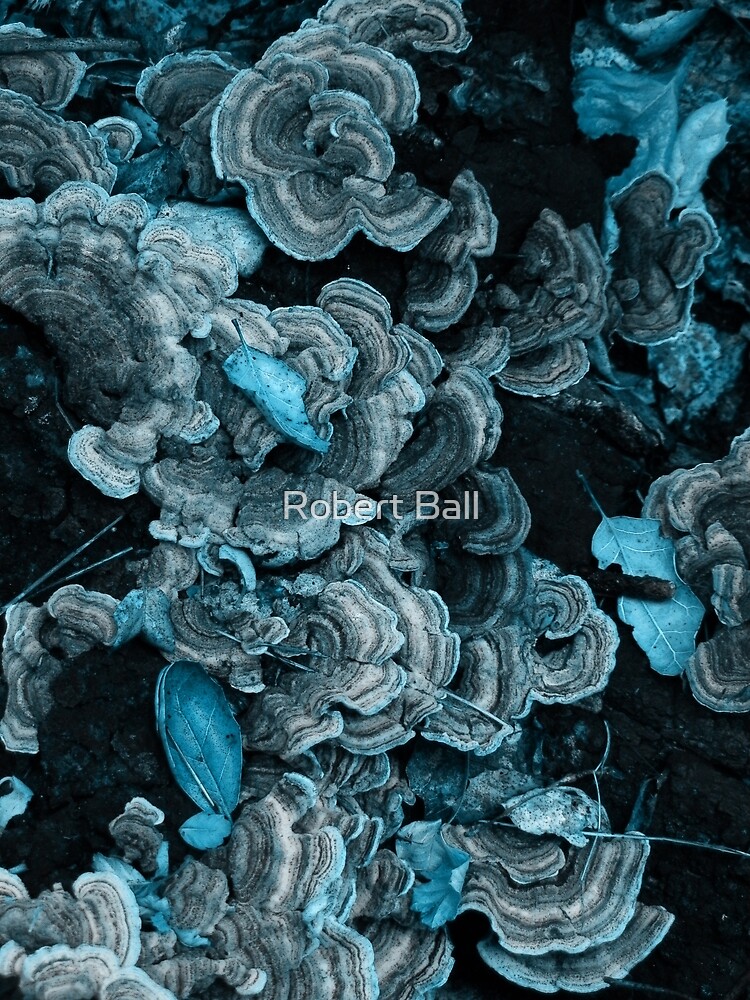 "Blue Fungus" by Robert Ball | Redbubble