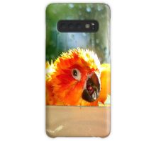 "I'm Singing In The Rain..!!! - Sun Conure - NZ" by AndreaEL | Redbubble