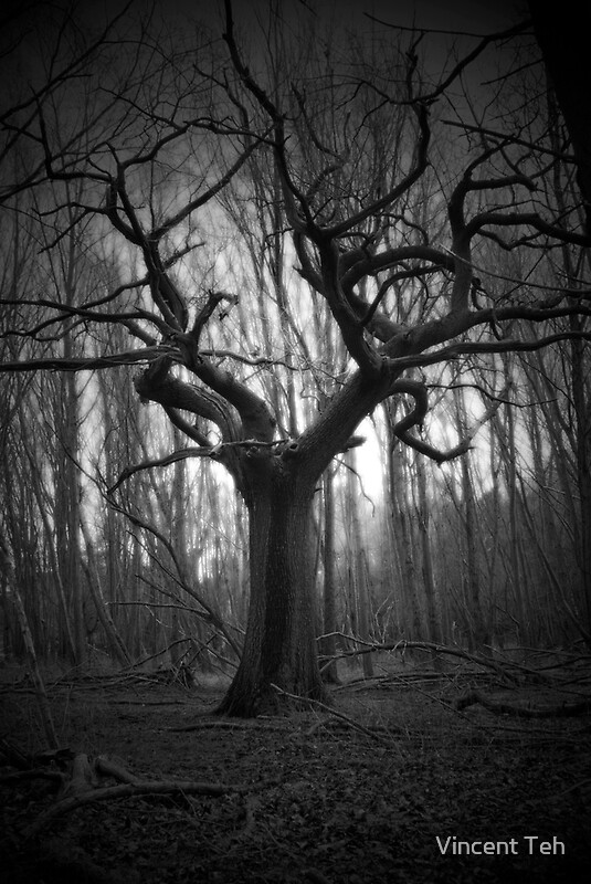"haunted tree" by Vincent Teh | Redbubble