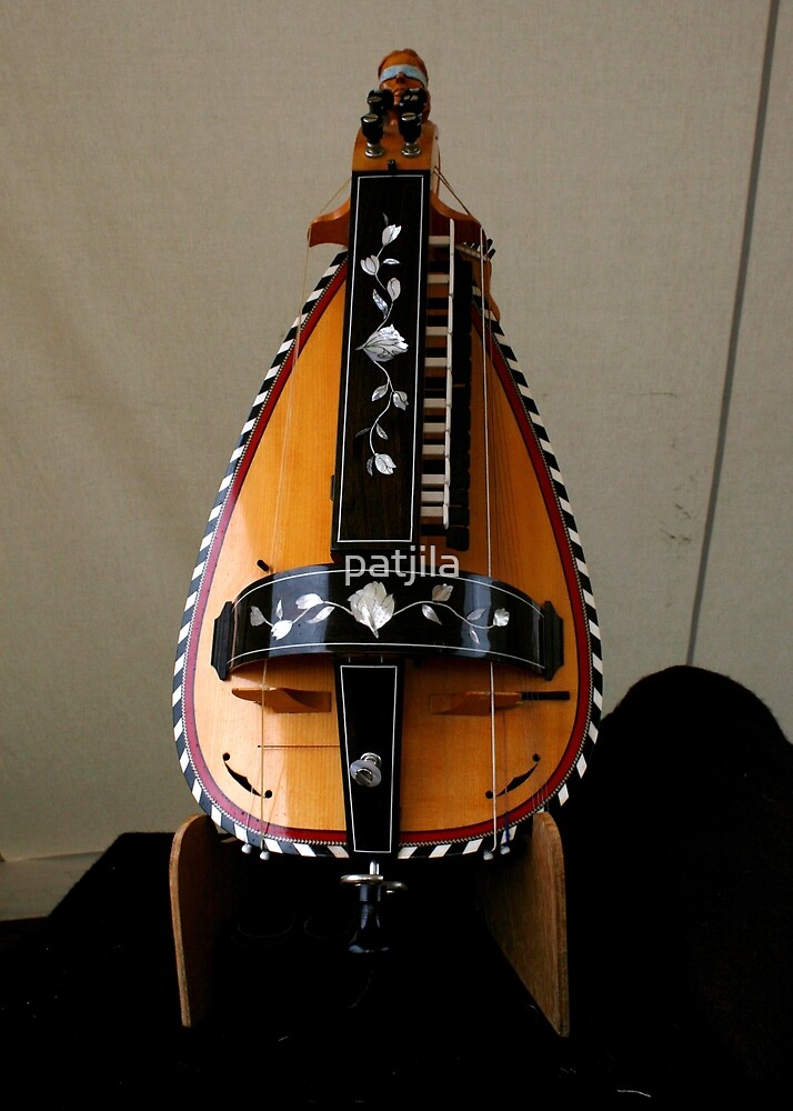"Beautiful French Hurdy Gurdy" by patjila | Redbubble
