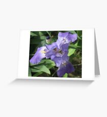 Charmed: Gifts & Merchandise | Redbubble