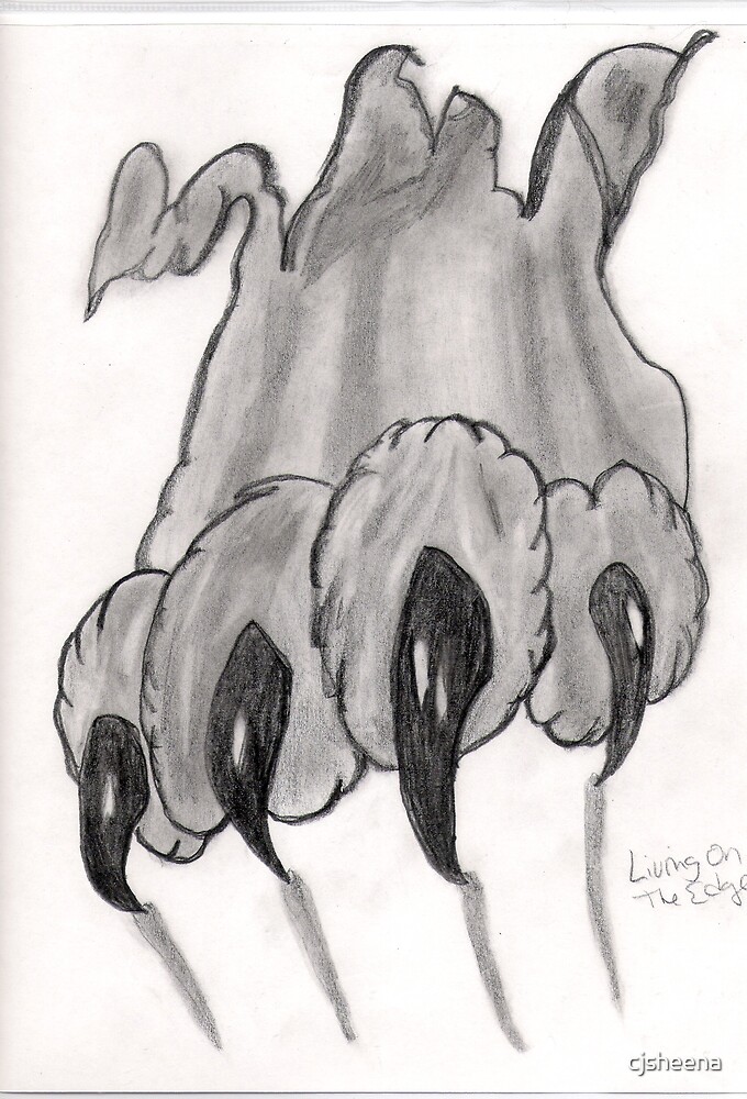 "Wolf Claw" by cjsheena | Redbubble