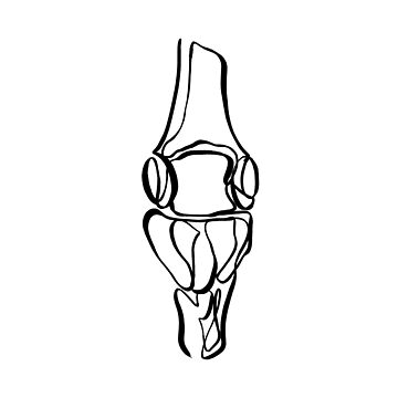 "Simple Knee Drawing Anatomy No.6" Art Print for Sale by FineNoon ...