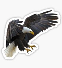 Bald Eagle: Stickers | Redbubble