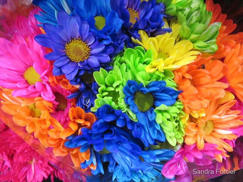 "Color Your World" by Sandra Fortier | Redbubble