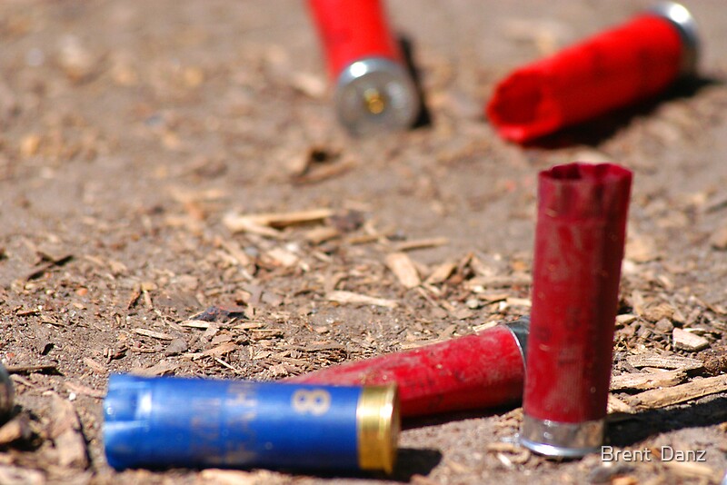 "Blue and Red Shotgun Shells" by Brent Danz | Redbubble