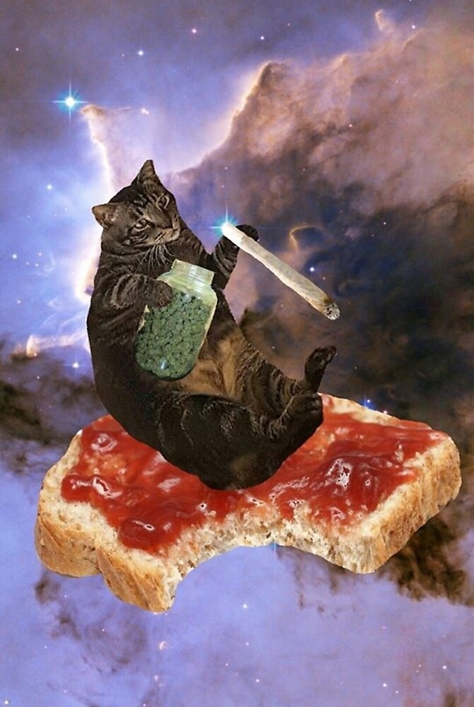 "jammin cat" by taco-elgato | Redbubble