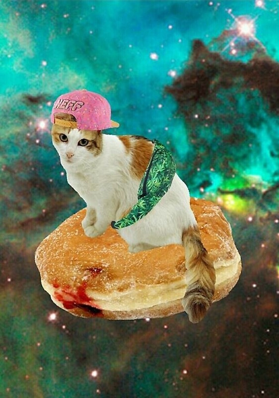 "donut munchie cat" by taco-elgato | Redbubble