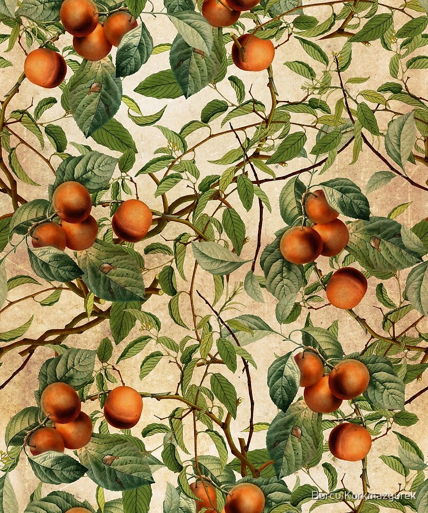 " Vintage Fruit Pattern" by Burcu Korkmazyurek | Redbubble