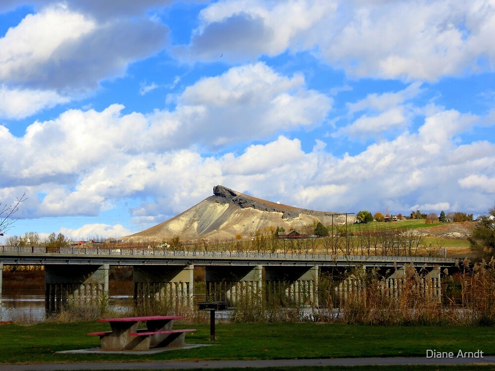 "Lizard Butte. Marsing, Idaho" by Diane Arndt | Redbubble