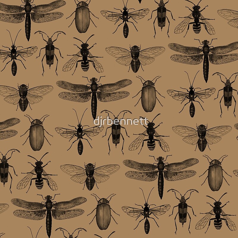 "Entomology studies pattern" by djrbennett | Redbubble