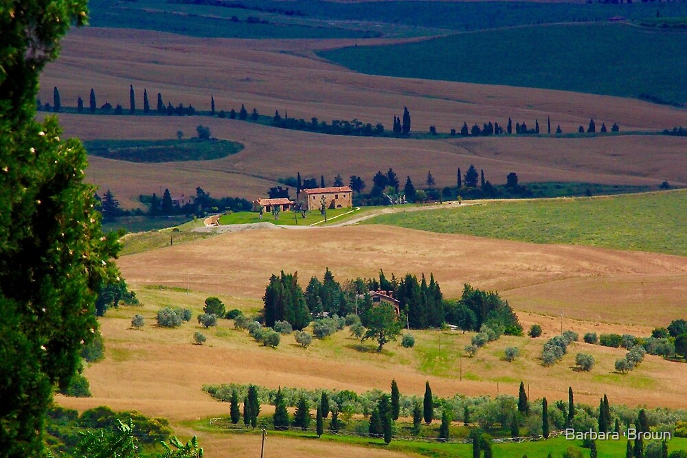 "Tuscan Landscape" by Barbara Brown | Redbubble