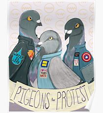 Pigeon Posters | Redbubble