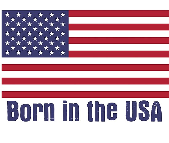 "Born in the USA Flag T-Shirt American Sticker" Poster by deanworld ...