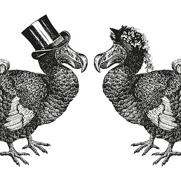 "Mr and Mrs Dodo | Dodo Couple | Vintage Dodos | Black and White ...