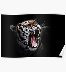 Save Tiger Posters | Redbubble