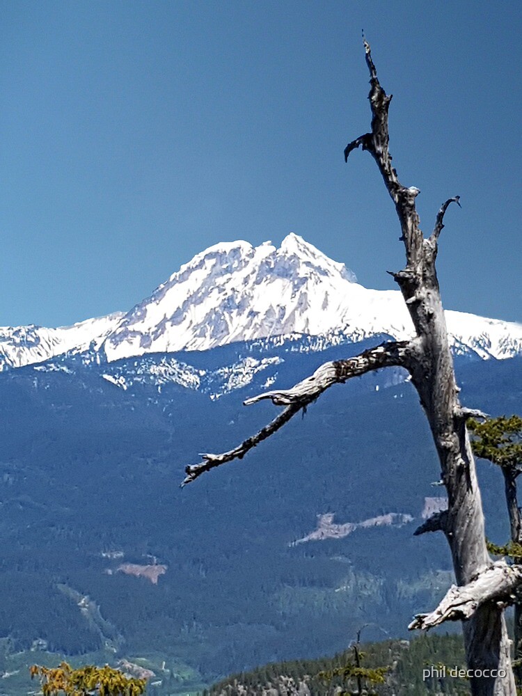 "Mt Atwell Peak" by phil decocco | Redbubble