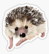 Hedgehog: Stickers | Redbubble