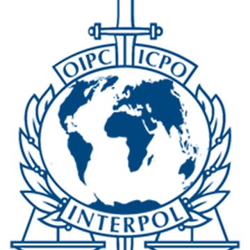 "Interpol " Essential T-Shirt for Sale by GabrielFishArt | Redbubble