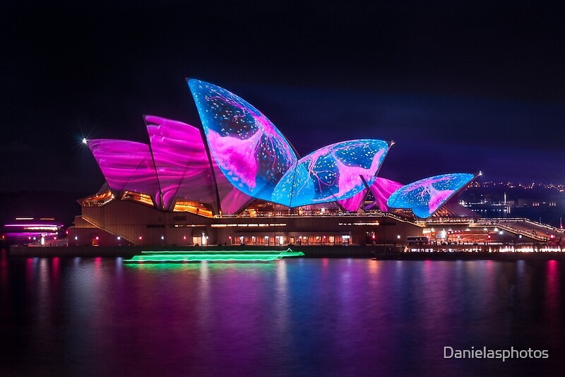 "A Sea Creature finds home on the Opera House shell roofs" by ...