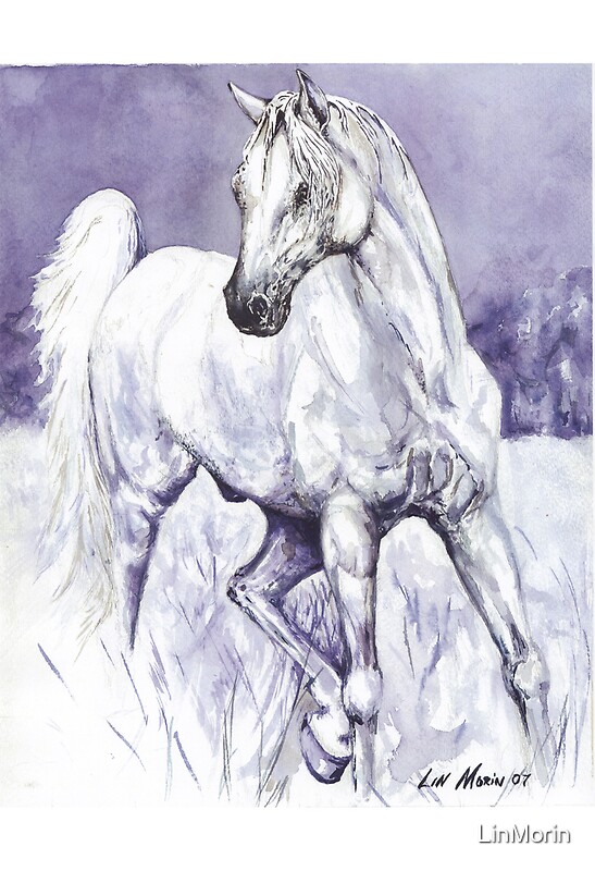 ""Wonder Stallion"" by LinMorin | Redbubble
