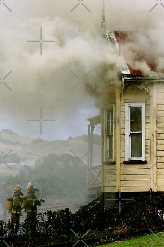 "Facing Danger" by Globalphotos | Redbubble