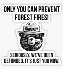 Smokey Bear: Stickers | Redbubble