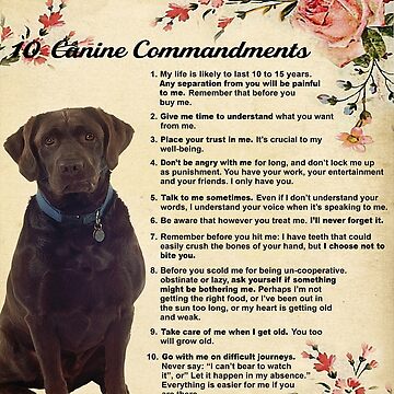 "10 Canine Commandments Labrador Retriever Dog" Art Board Print for ...