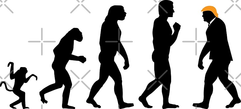 "Trump evolution II" Posters by handcraftline | Redbubble