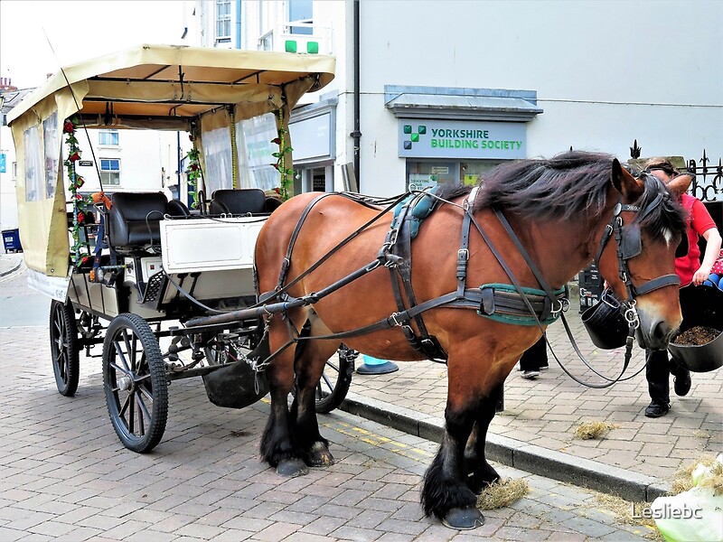 "Tenby Transport" by Lesliebc | Redbubble