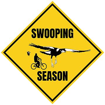 "Australian magpie swooping season warning sign" Sticker for Sale by ...