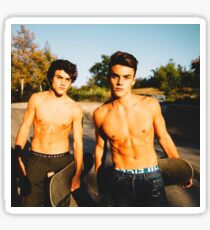 Dolan Twins: Stickers | Redbubble