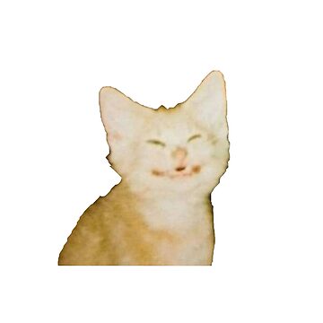 "smiling cat meme " Postcard for Sale by nataliestarks | Redbubble