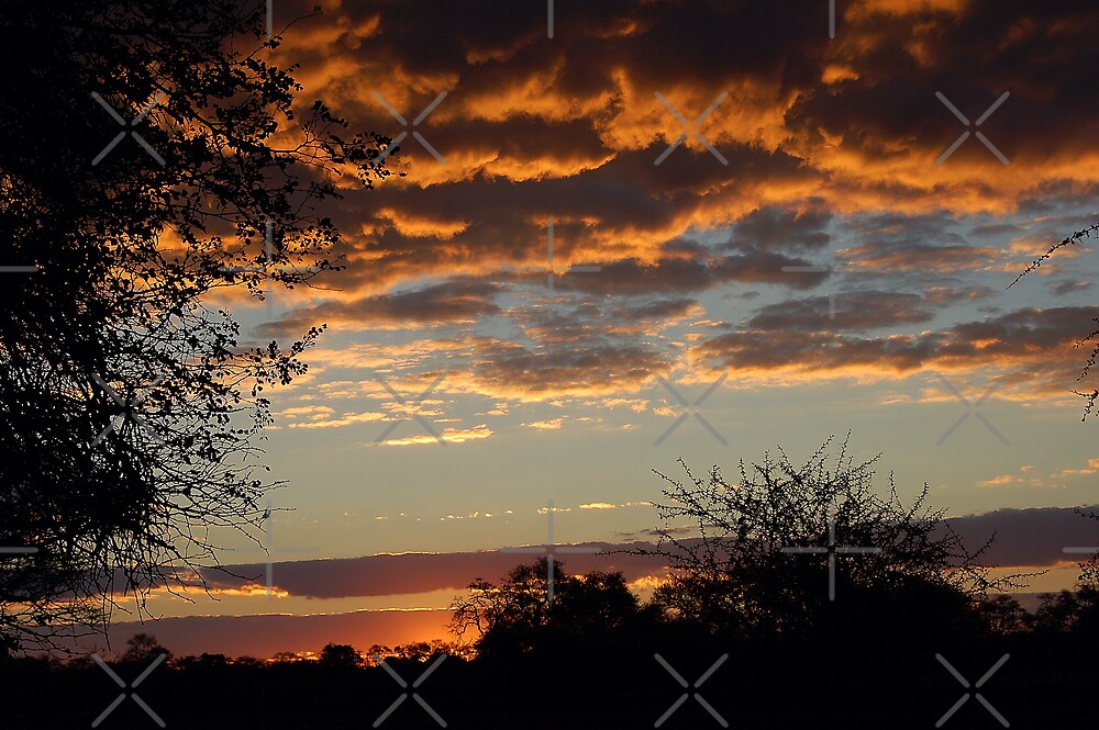 "TYPICAL "BUSHVELD" SUNSET" by Magriet Meintjes | Redbubble