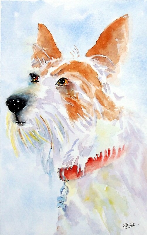 "Paddy the jack russell terrier" by Pat Elliott | Redbubble