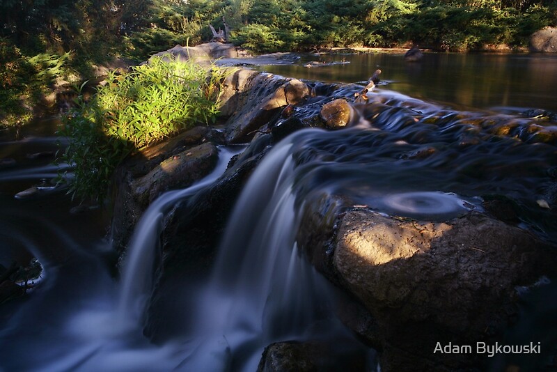 "Sun and Shade" by Adam Bykowski | Redbubble