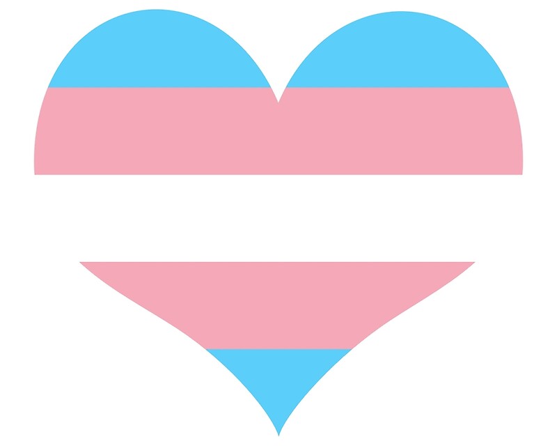 "Trans Pride Heart" by transprince | Redbubble
