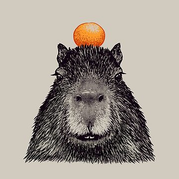 "Capybara Orange | Capy Yuzu | Capybara with Orange on Head | His Name ...