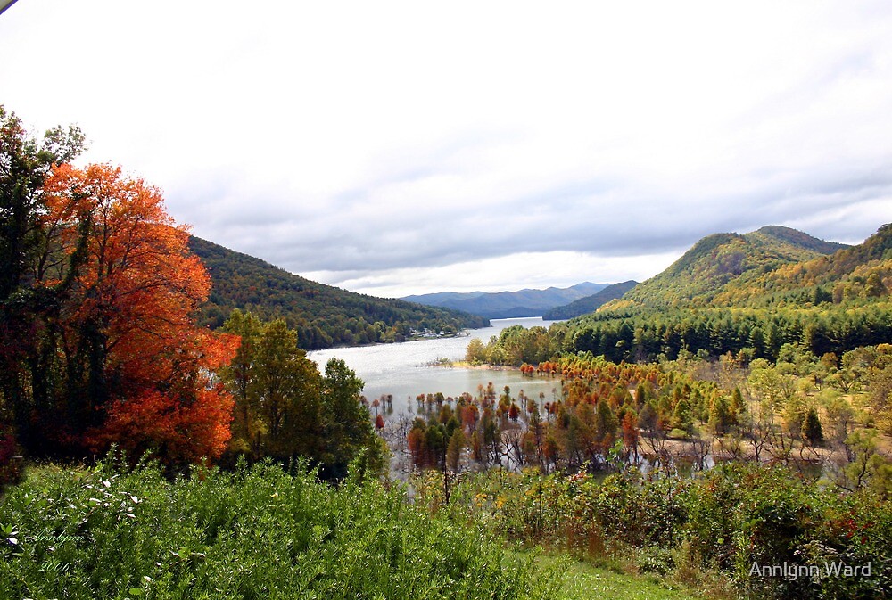 "Head of Watauga Lake, Butler, TN, " by Annlynn Ward | Redbubble