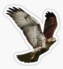 Hawk: Stickers | Redbubble