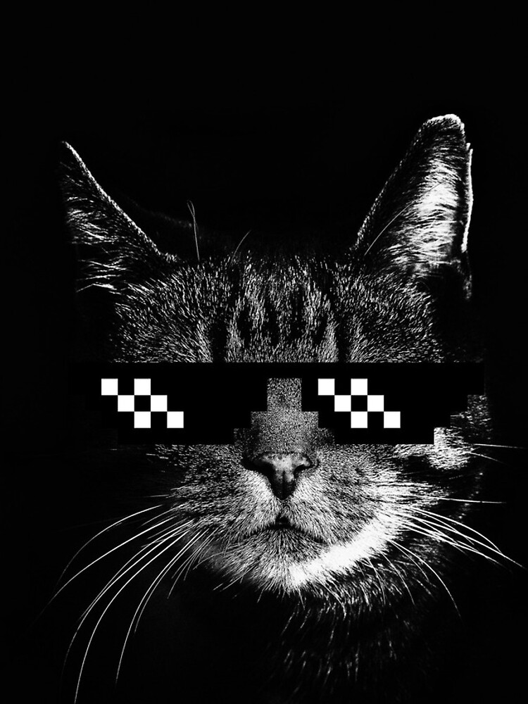 "Cat Pixelated sunglasses, Photo, Wall art, Trendy print, Animal ...
