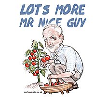 "Lots More Mr Nice Guy" by CartoonKate | Redbubble