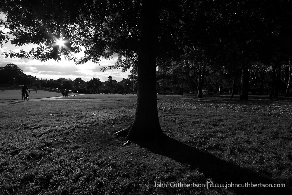 "Camperdown Memorial Park, Newtown" by John Cuthbertson | www ...