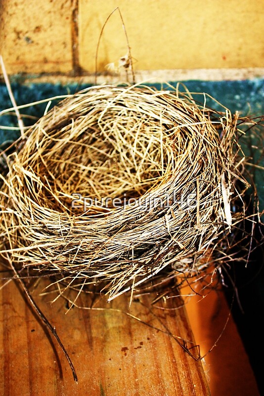 "Empty Nester" by 2purejoyjn146 | Redbubble