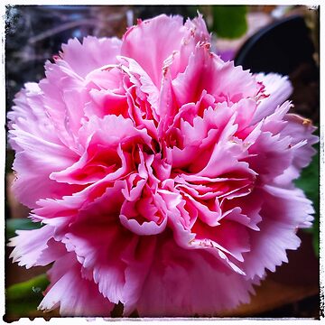 "Call me Pink" Drawstring Bag for Sale by bobewing | Redbubble