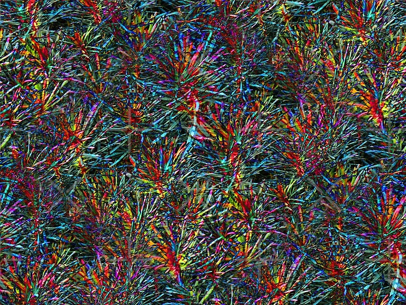 "Blooming Snazzy (pattern)" by Yampimon | Redbubble