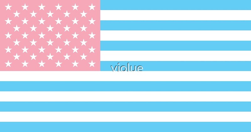 "Trans American Flag" by violue | Redbubble
