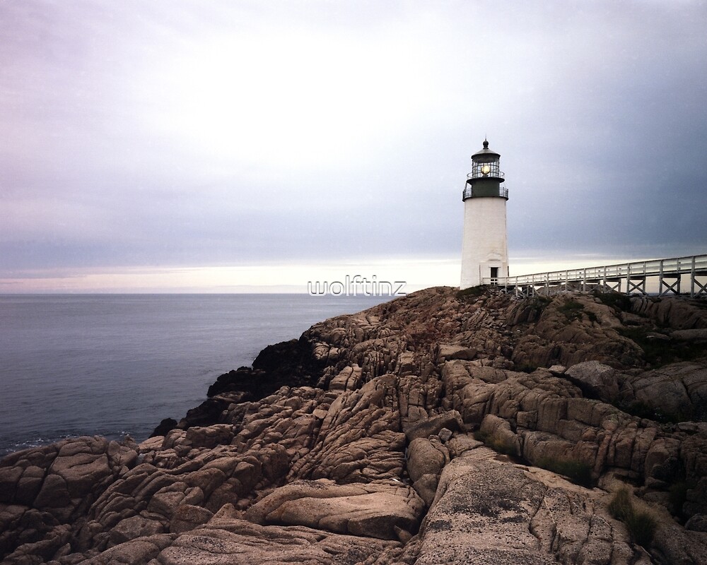 "Moose Peak Lighthouse, Maine" by wolftinz | Redbubble