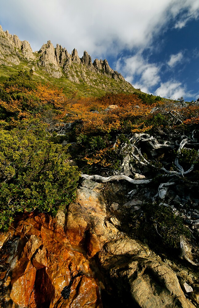 "Face Track Rivulette" by Robert Mullner | Redbubble