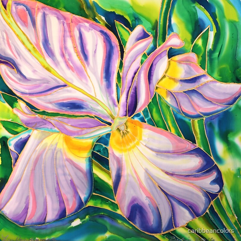 "White Iris of Belize" by caribbeancolors | Redbubble
